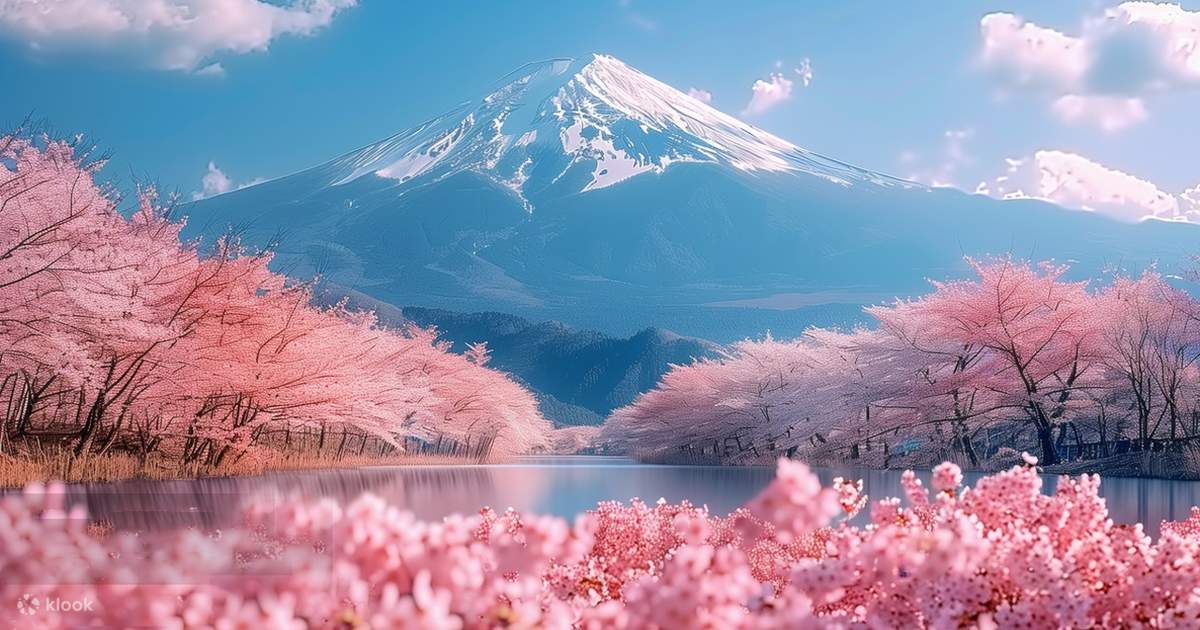 [Mount Fuji, Hakone, Kawaguchiko, and Flower Viewing] 7-11 Convenience ...
